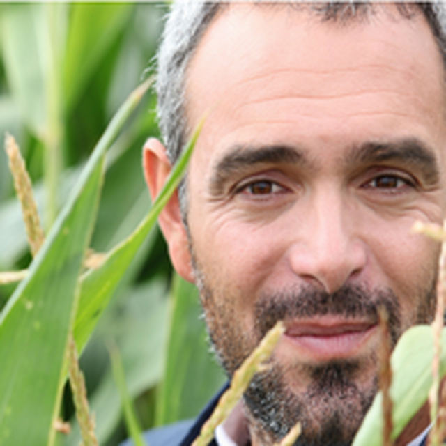 davidsaroni125｜アトリエ｜ILLUSTDAYS シンプルイラストポートフォリオ